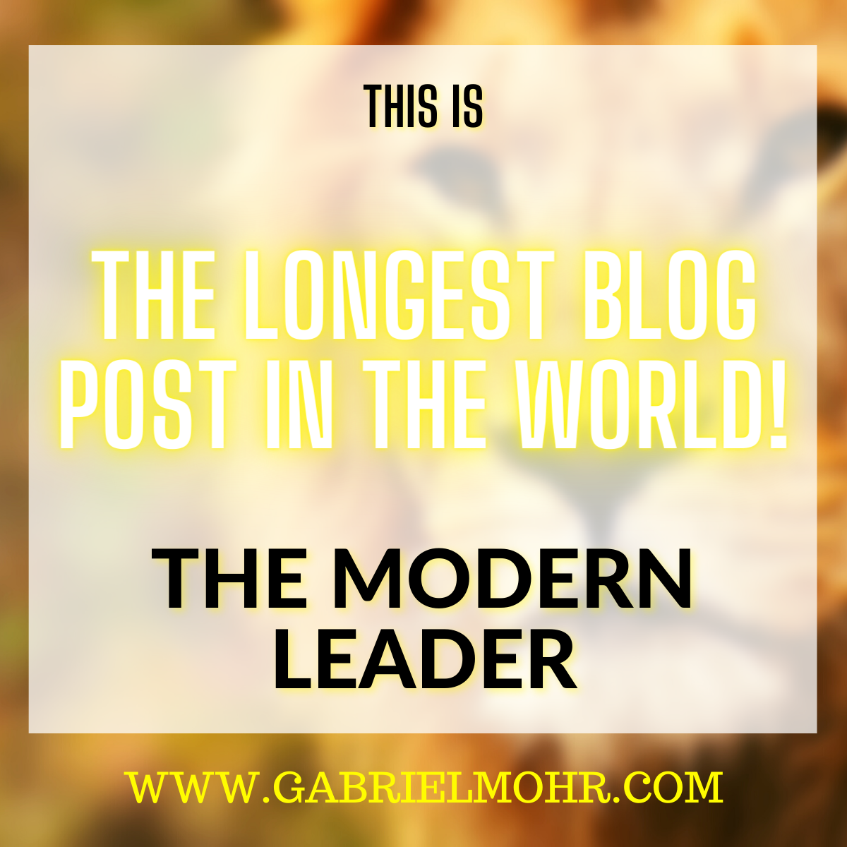 The Modern Leader | 25 Amazing Tips For Becoming A Leader!